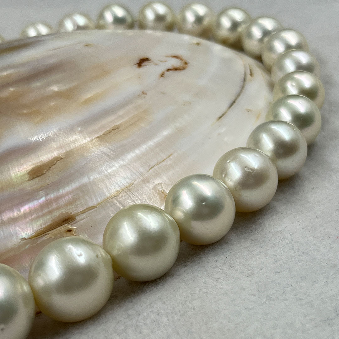 South Sea Pearls – Kishore Motiwala